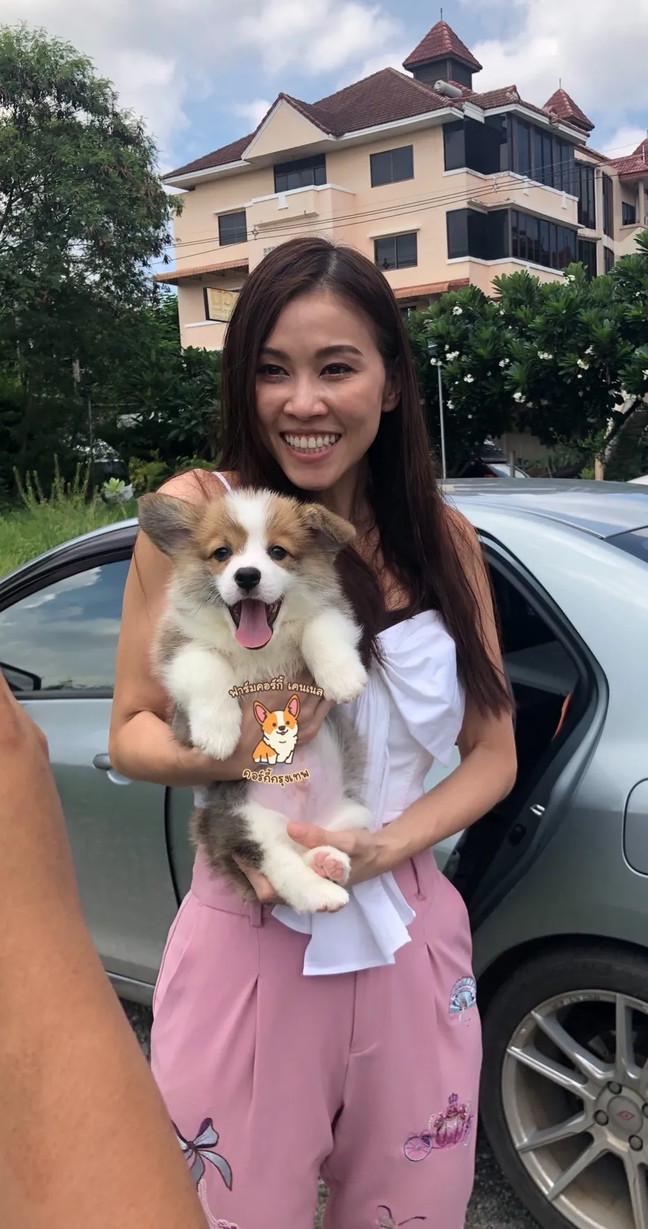 Corgi Kennal Bangkok